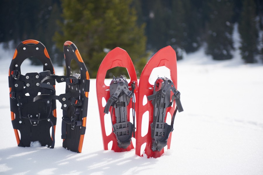Raquettes à neige : comment bien les choisir